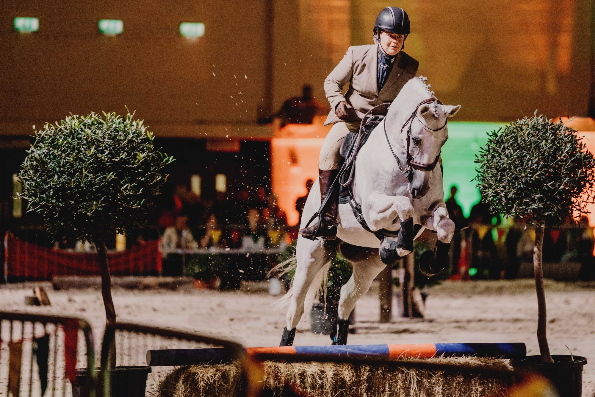 TICKETS – Festival of the Iberian Horse