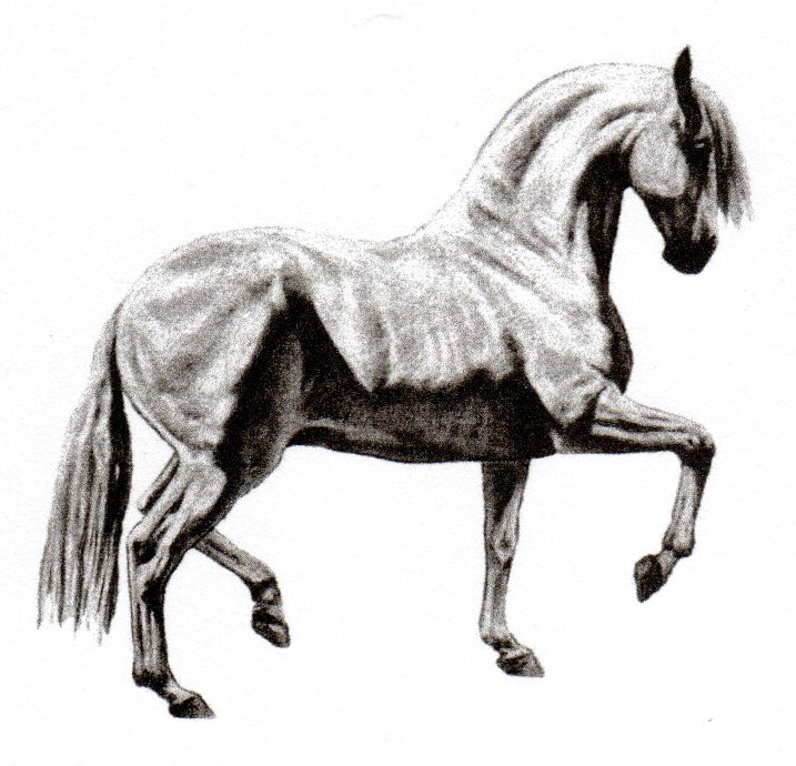 The Societies – Festival of the Iberian Horse