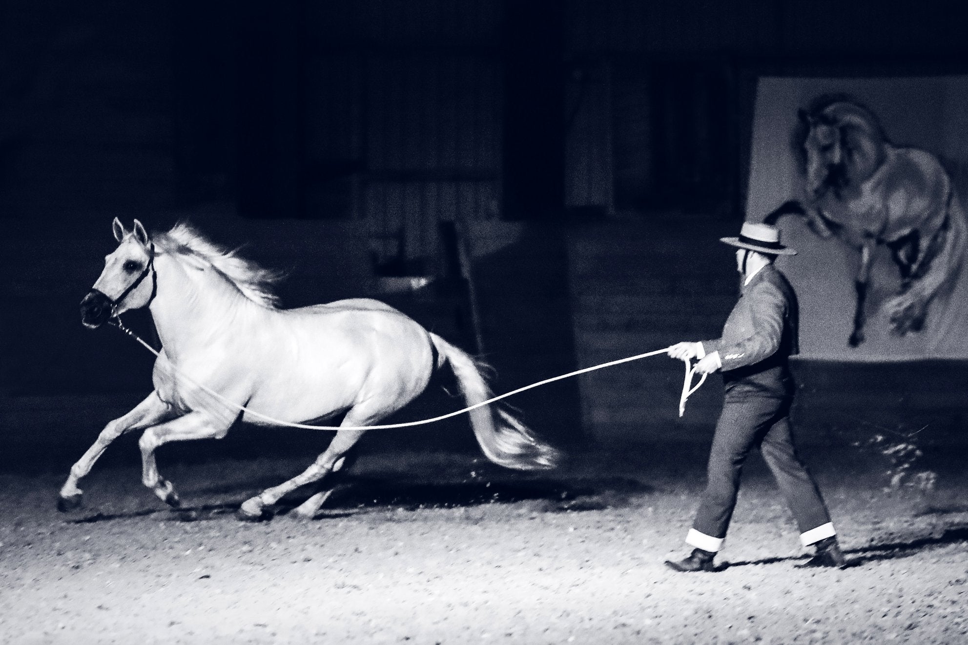 The Iberian Horse - The Lusitano and PRE – Festival of the Iberian Horse