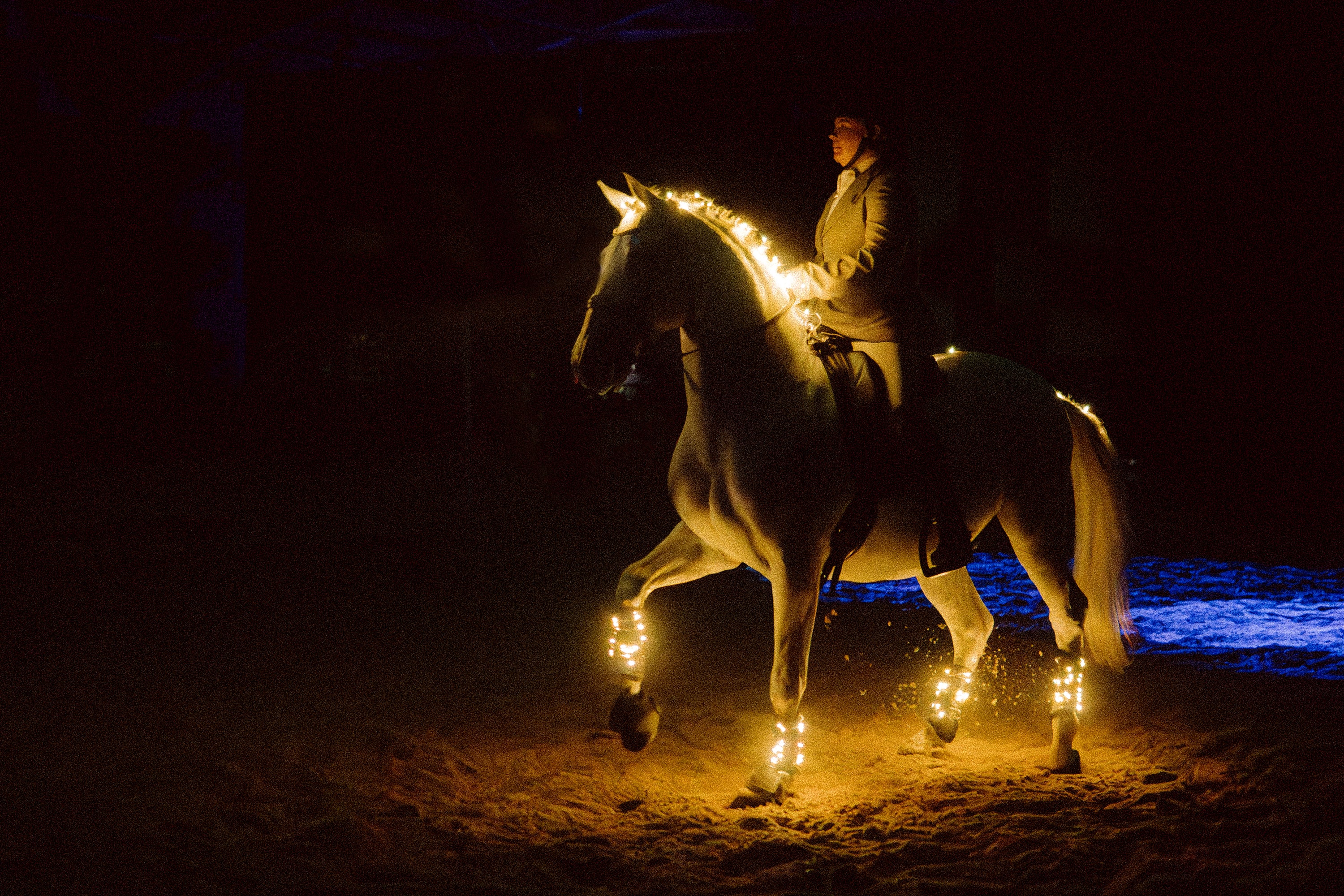 Festival of the Iberian Horse